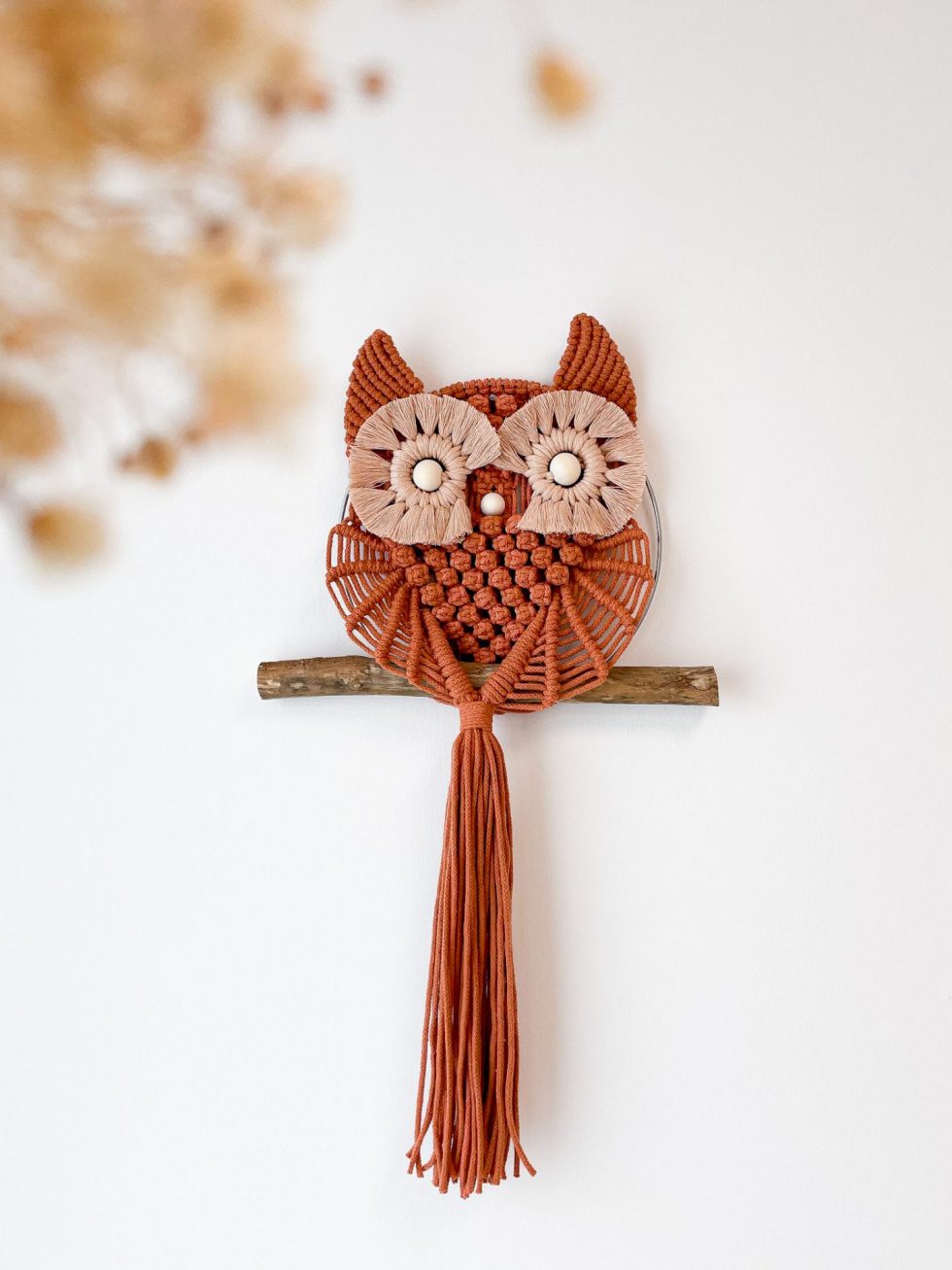 Kit macramé hibou | Déco Murale Bois Flotté (Tout inclus)